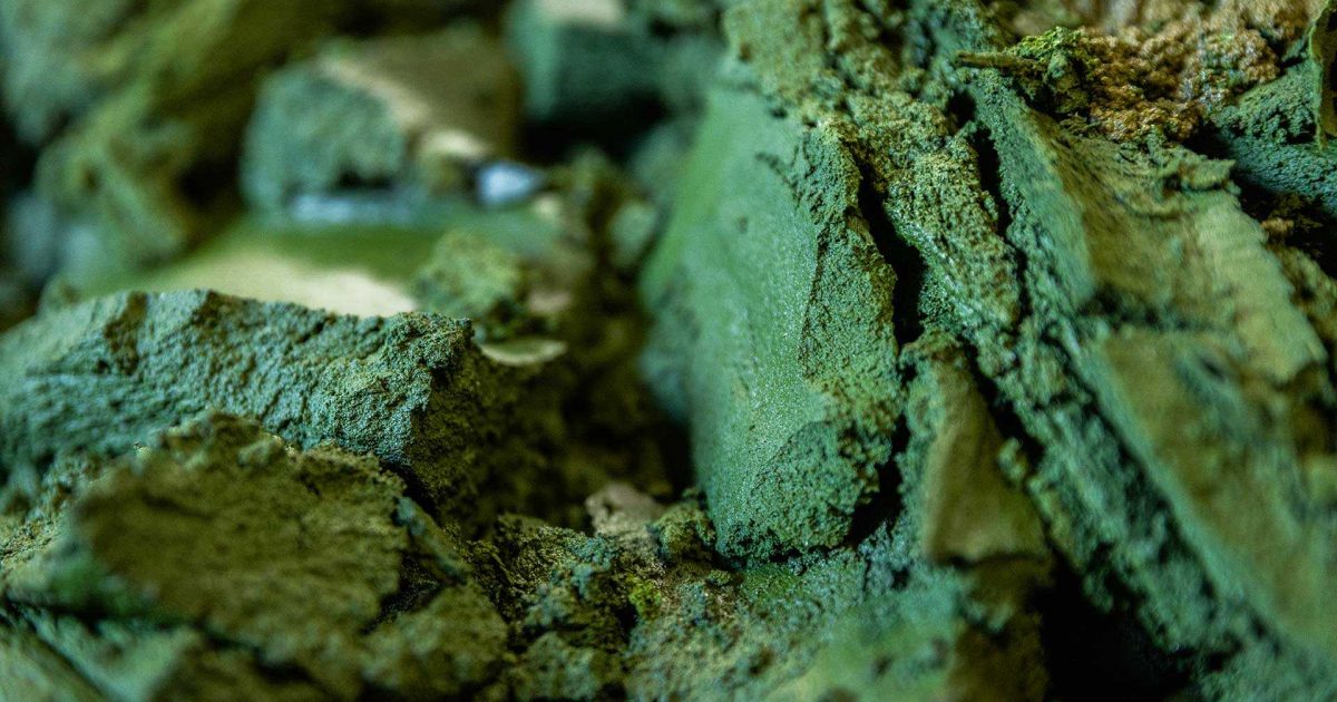 Grassa | Protein (soy) buyers